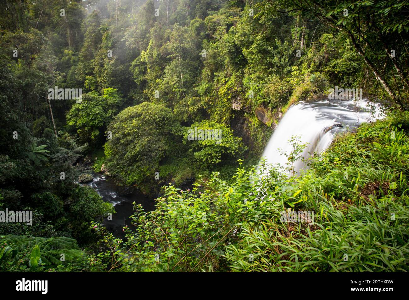 The famous Zillie Falls waterfall in the Atherton Tablelands area of ...