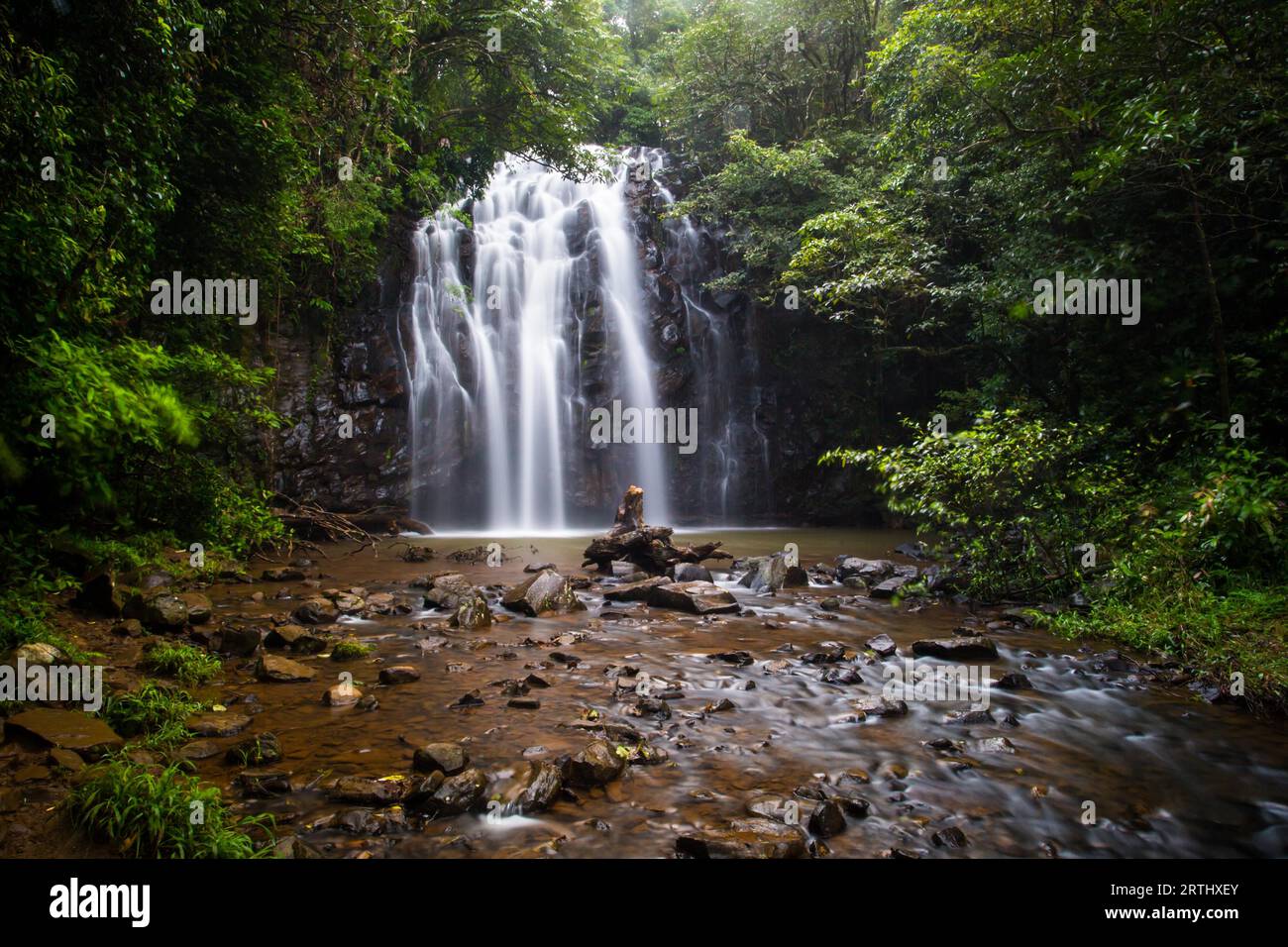 The famous Ellinjaa Falls waterfall in the Atherton Tablelands area of ...