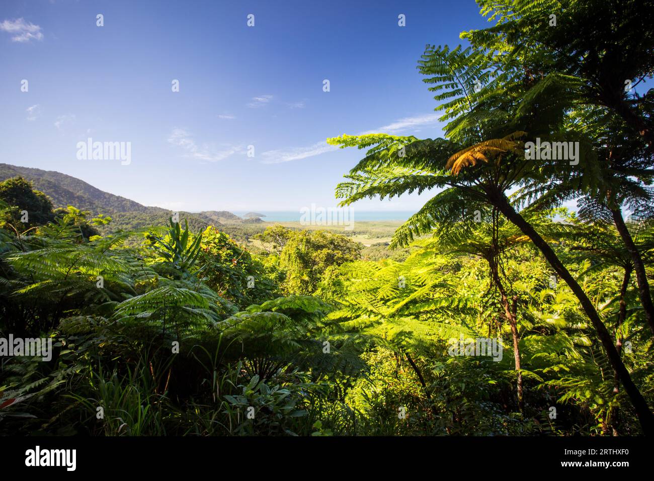 The view from Mount Alexandra lookout in the Daintree region towards ...