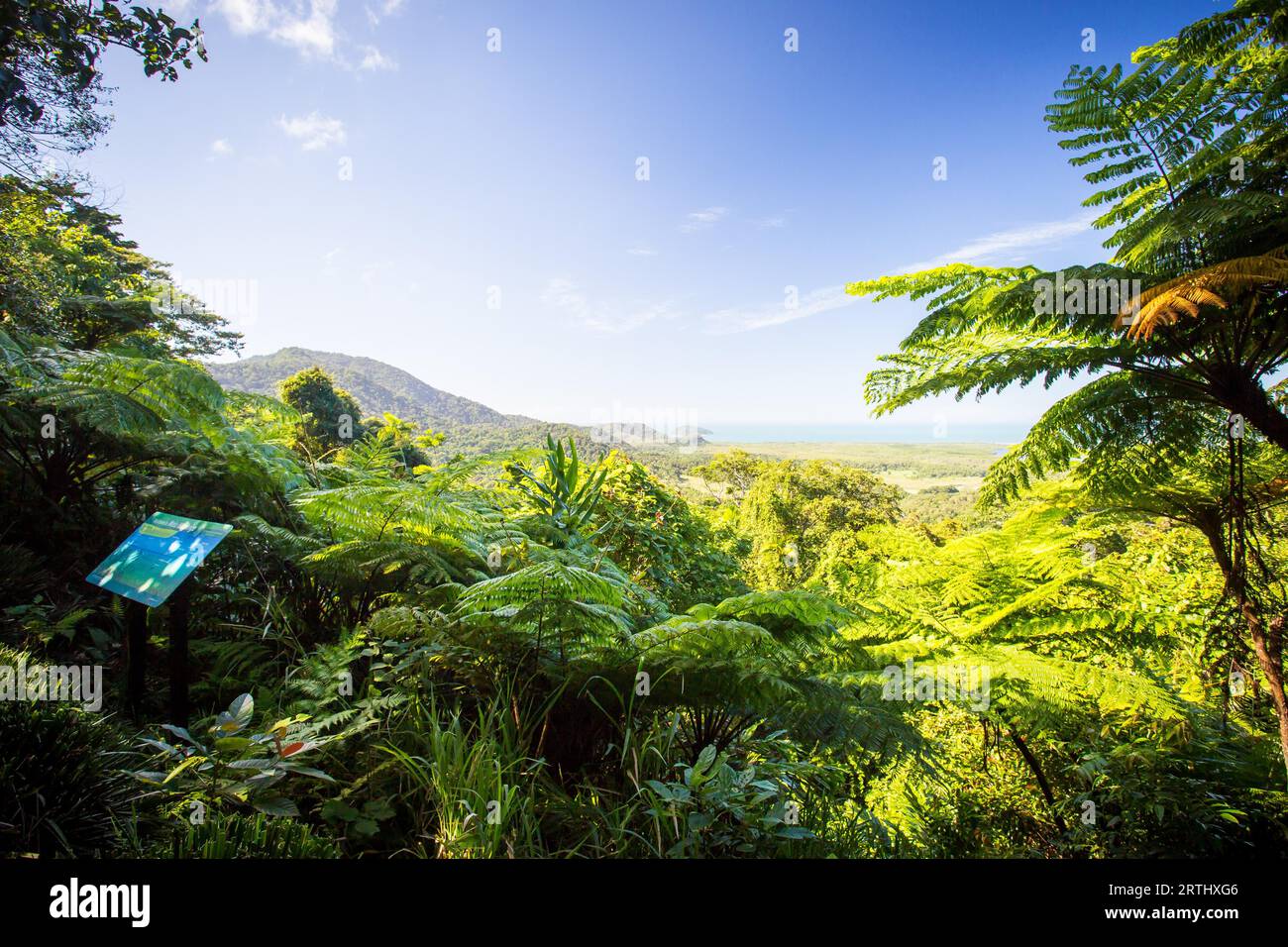 The view from Mount Alexandra lookout in the Daintree region towards ...