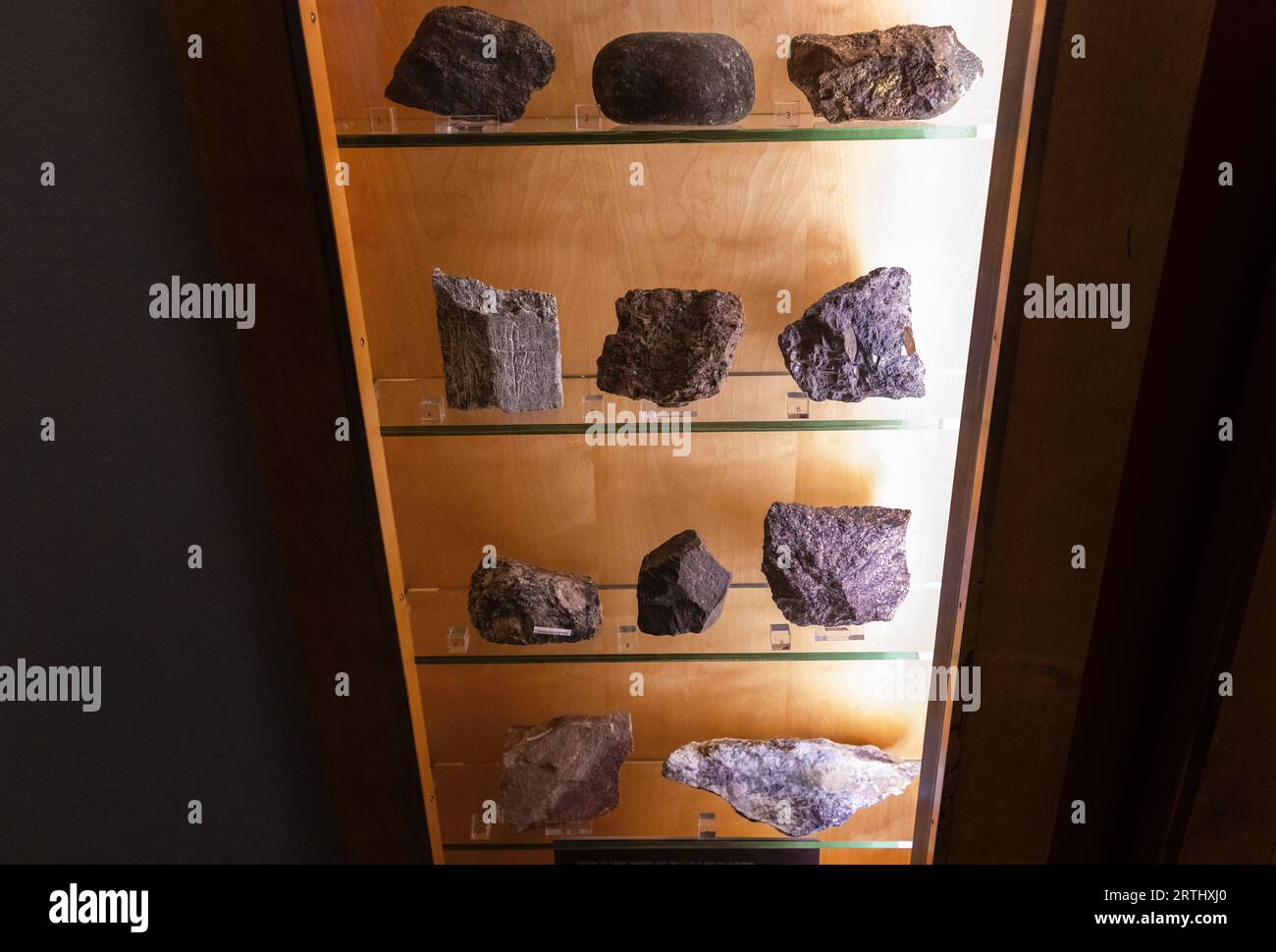 Paleontologi hi-res stock photography and images - Alamy