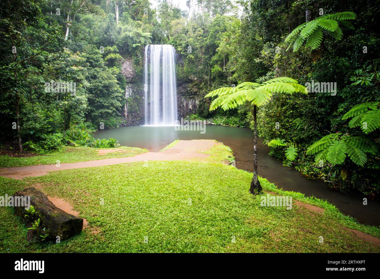 The famous Millaa Millaa waterfall in the Atherton Tablelands area of ...