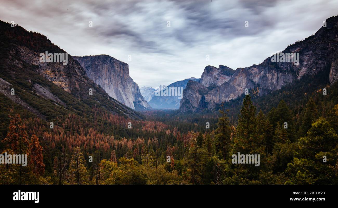 The iconic view of Yosemite Valley and the magnificent El Capitan in a ...