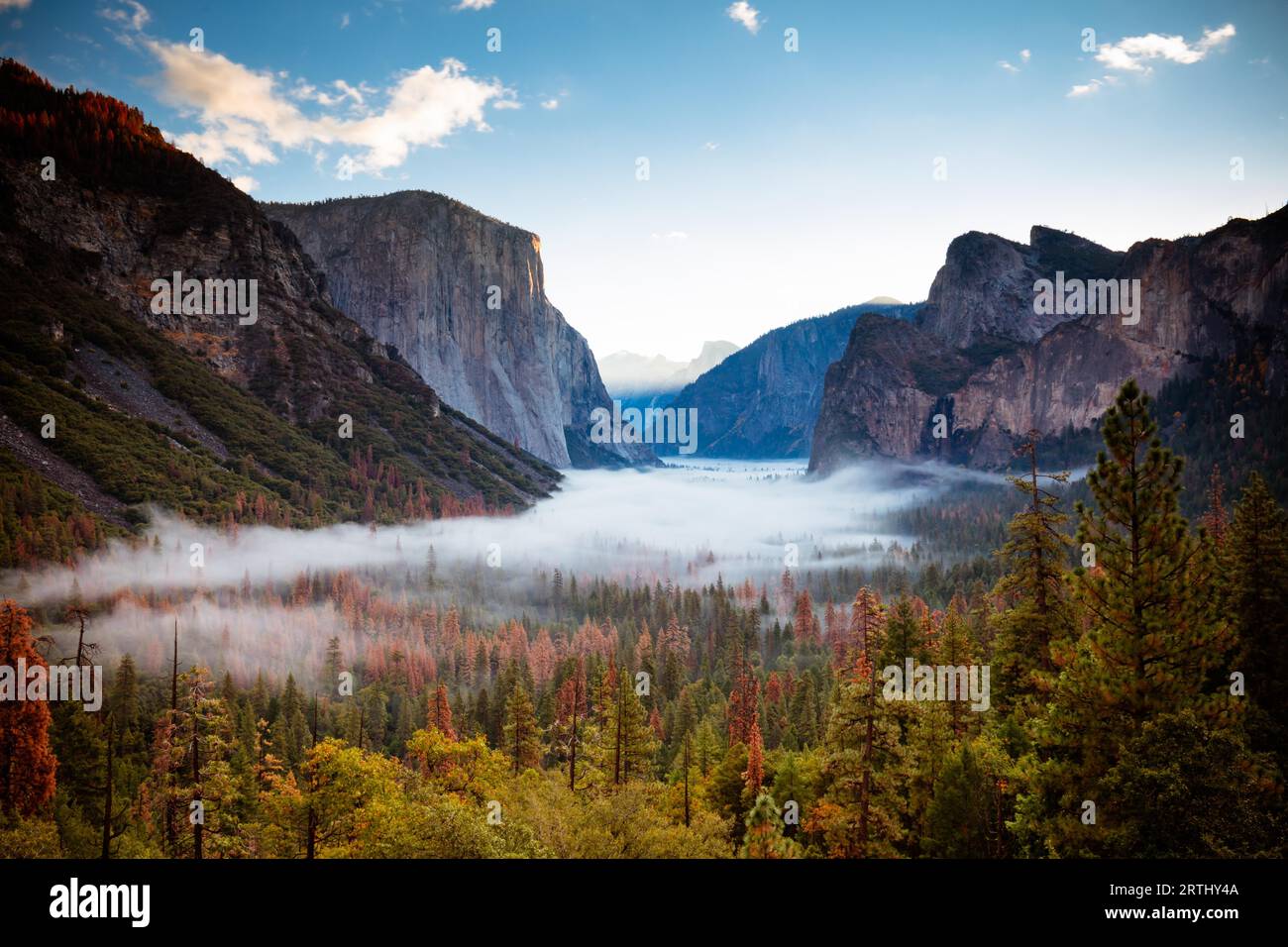 The iconic view of Yosemite Valley and the magnificent El Capitan at ...
