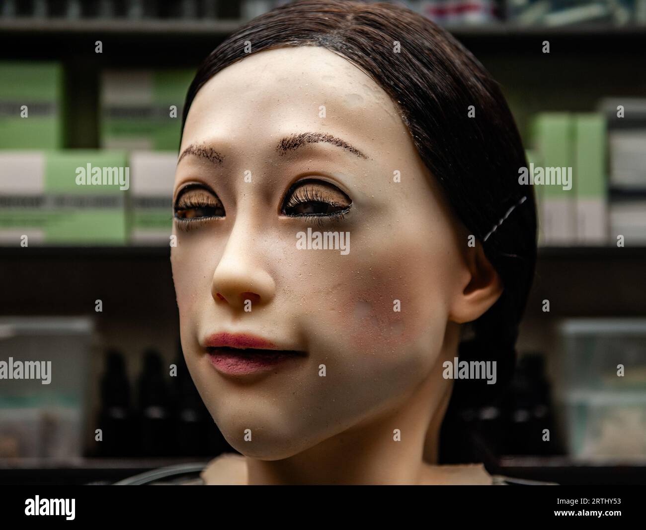 Leiden, Netherlands. 13th Sep, 2023. Amy, a human-looking robot inside ...