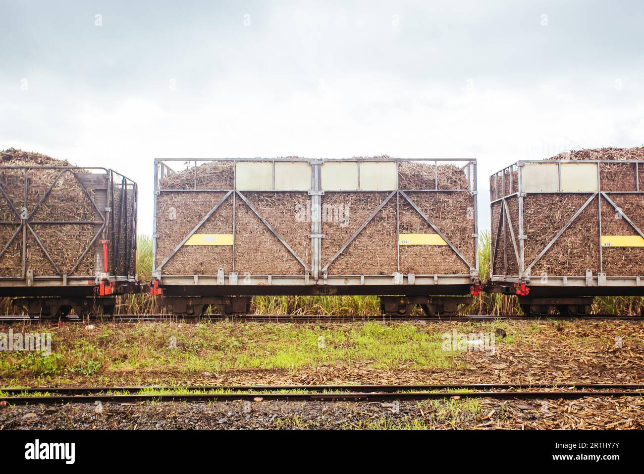 A sugar cane locomotive train near the Daintree in far north Queensland ...
