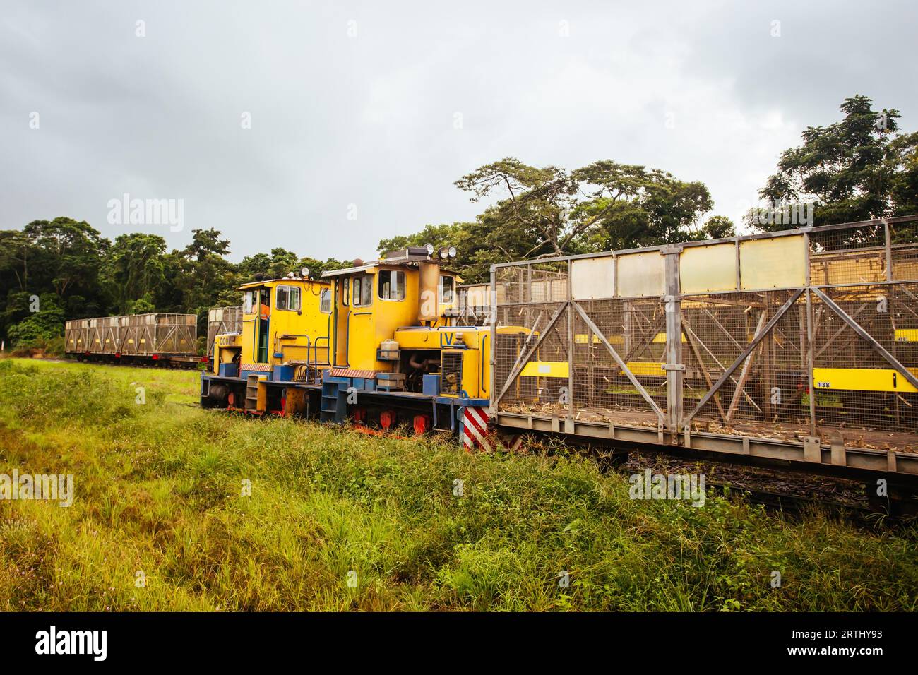 A sugar cane locomotive train near the Daintree in far north Queensland ...