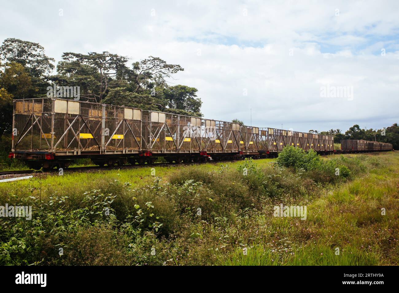 A sugar cane locomotive train near the Daintree in far north Queensland ...
