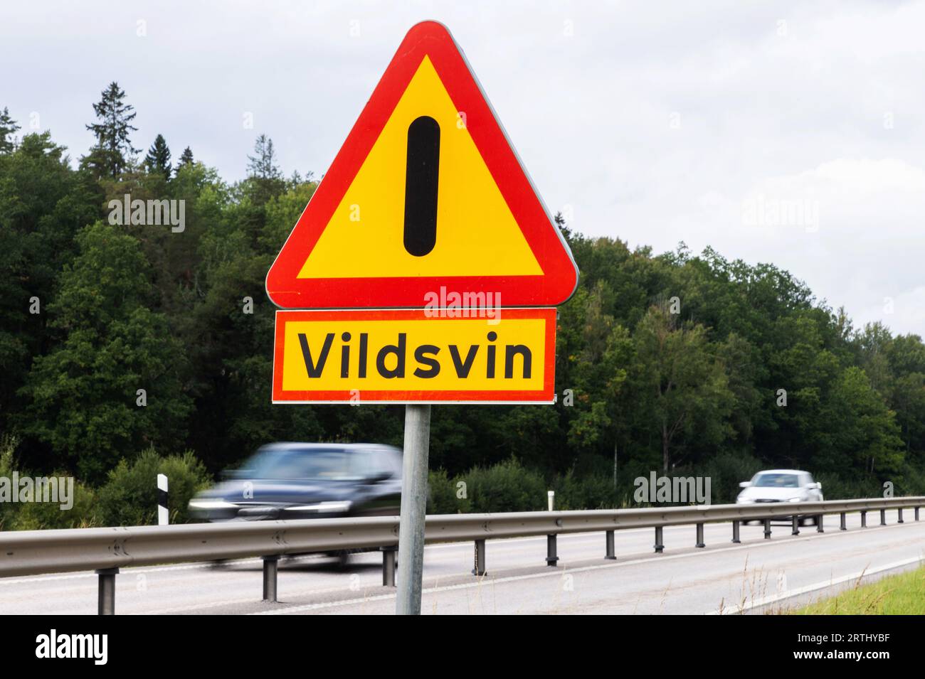 Road sign warning of wild boar (Sus scrofa Stock Photo - Alamy