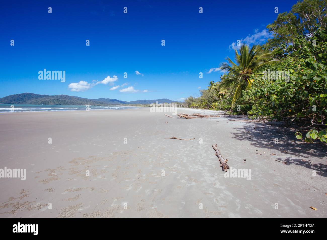 Thornton Beach near Cape Tribulation in the Daintree, Queensland ...