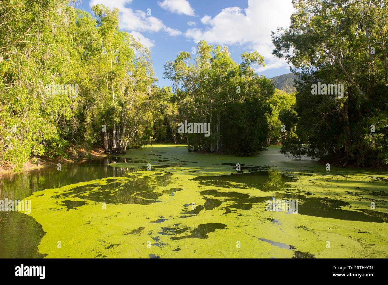 Australian wetland landscape hi-res stock photography and images - Alamy