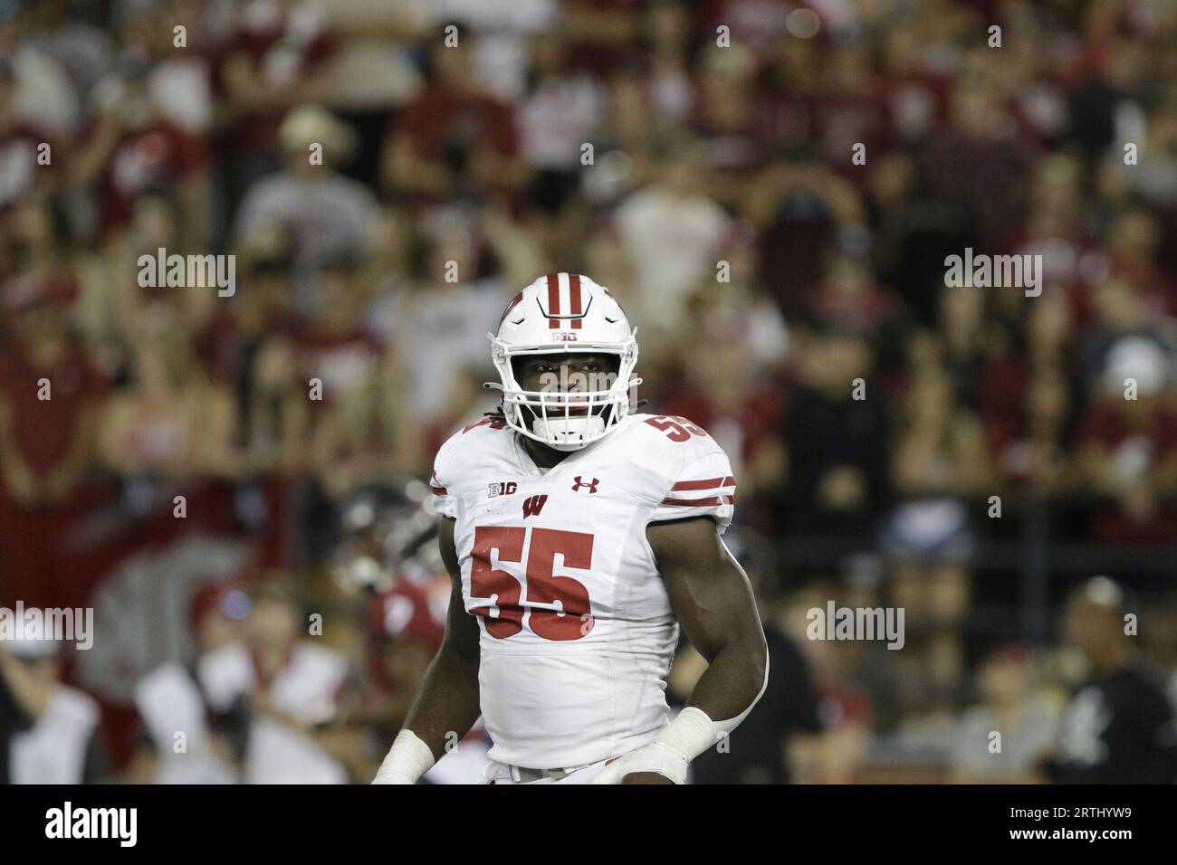 Wisconsin linebacker Maema Njongmeta stands on the field during the ...
