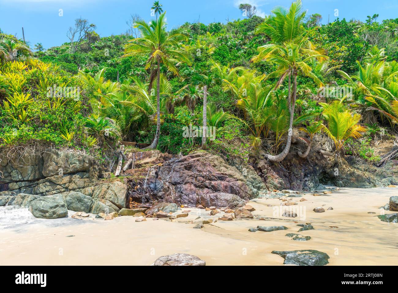 Summer holiday daylight beach scene tropical paradise vacation on coast ...