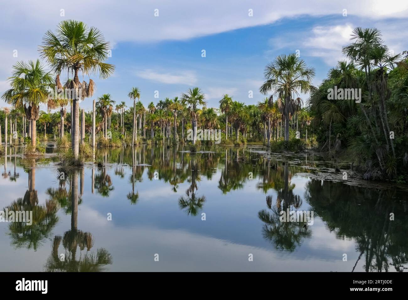 Beautiful lagoon in late afternoon light with mirror reflections on the ...