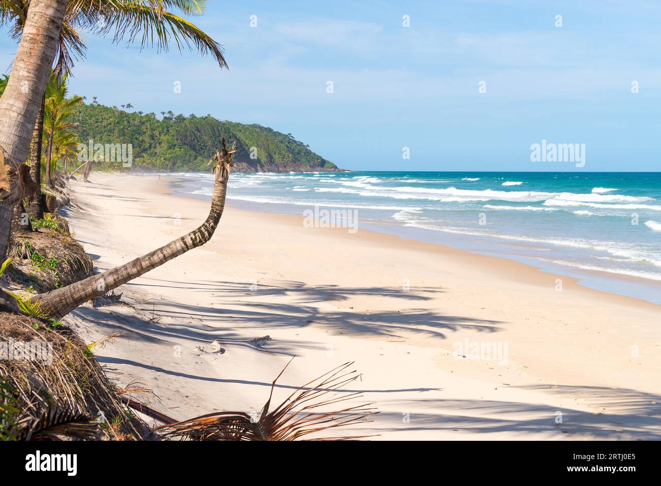 Sunny brazil hi-res stock photography and images - Alamy
