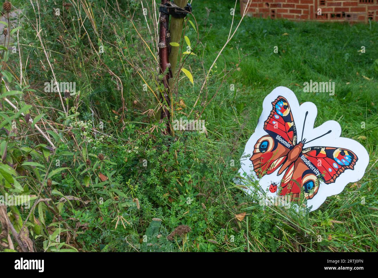 Wildflower area with butterfly sign reading Bloomin' Biodiversity in ...