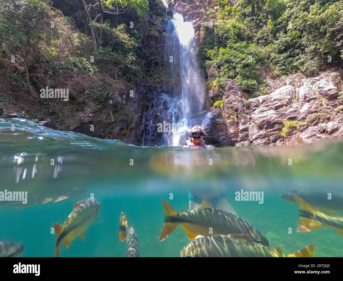 Snorkeler, head out of the water, in a crystal clear waterfall pool in ...