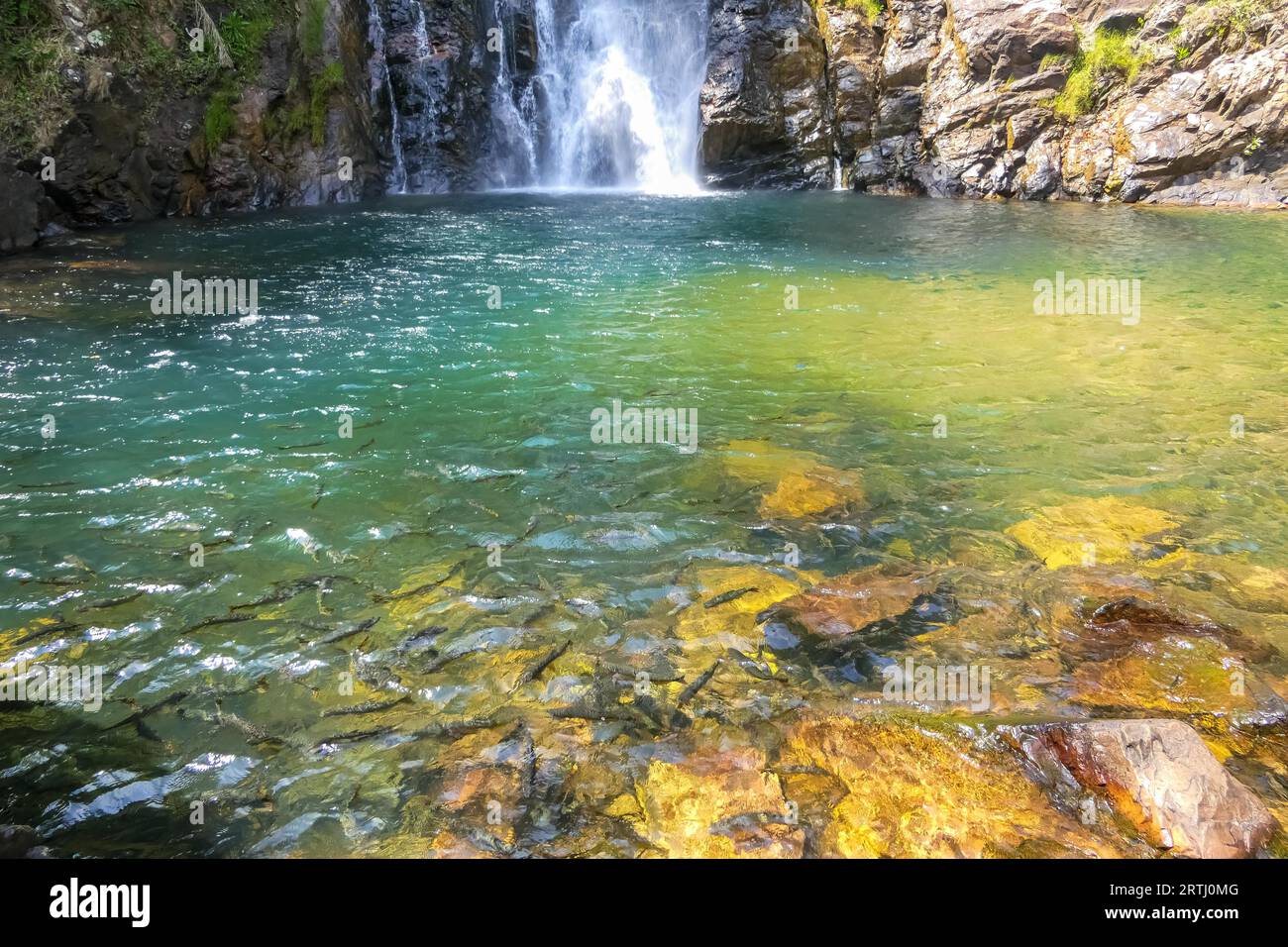 Cachoeira Serra Azul waterfall plunges in a crystal clear waterfall ...