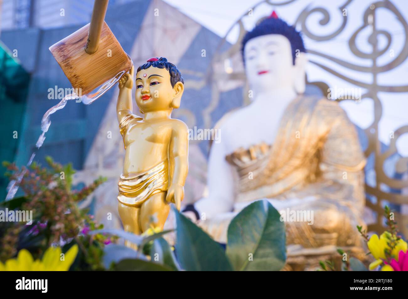 Bathing of a golden statue of the Buddha. The bathing of Buddha statues ...