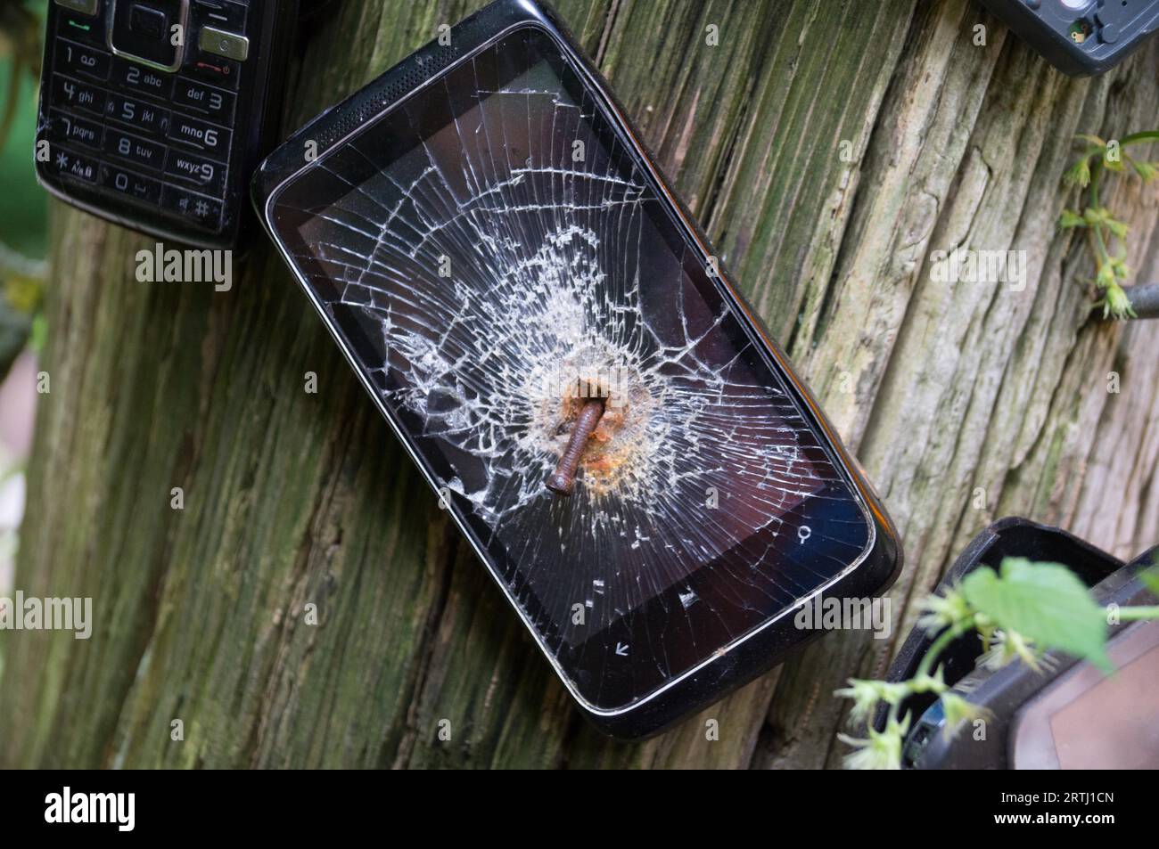 Old mobile phones nailed to a trunk. The severely damaged mobile phones ...