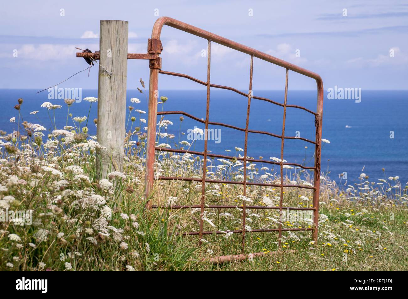 Flowers in corridor hi-res stock photography and images - Alamy