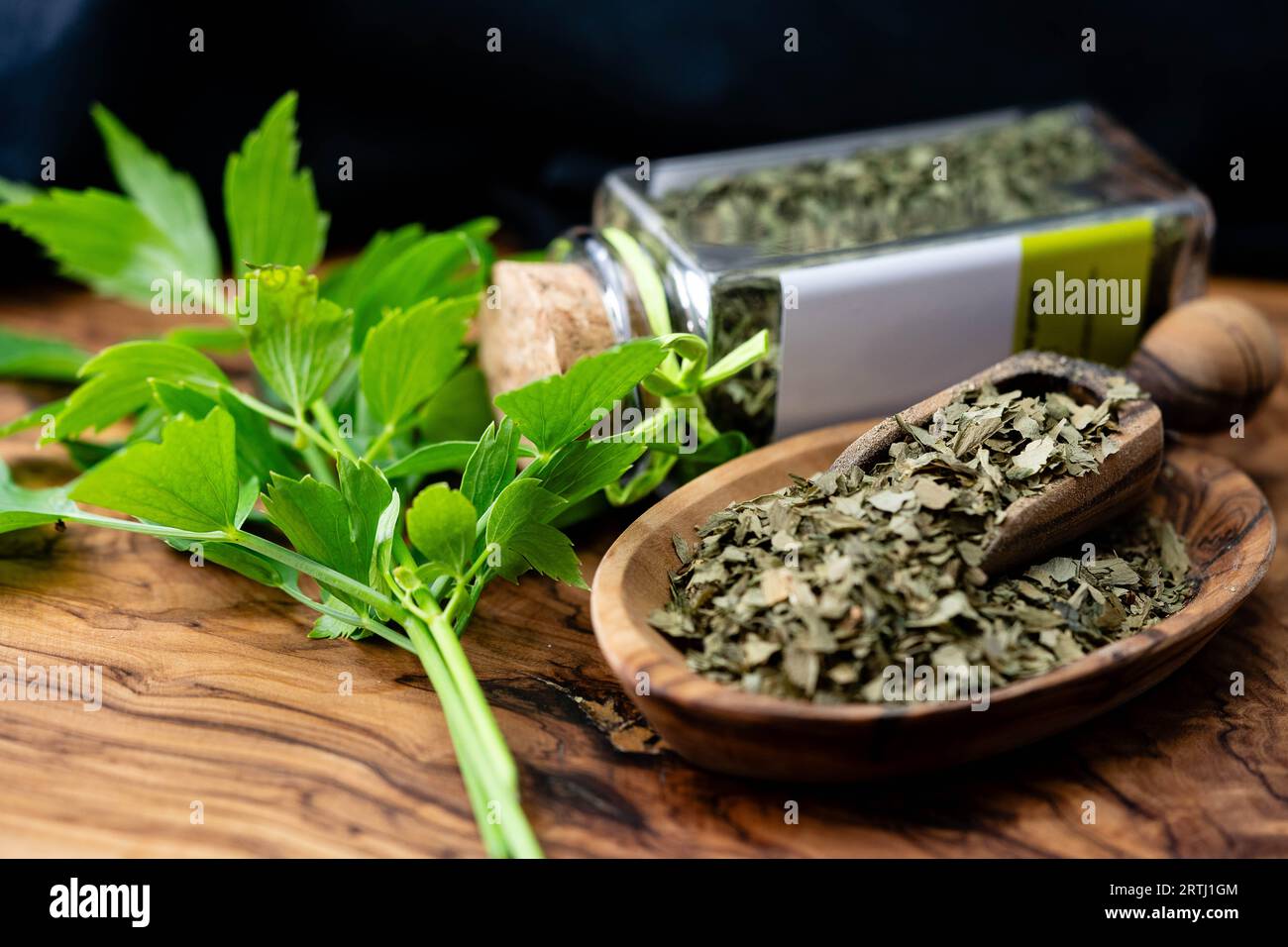 Leaves of the lovage plant Levisticum officinale fresh and dried Stock ...