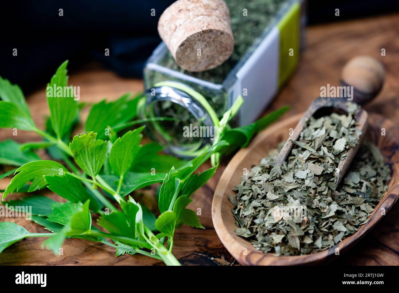 Leaves of the lovage plant Levisticum officinale fresh and dried Stock ...