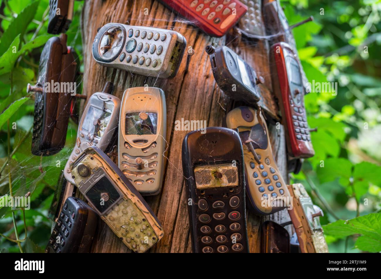 Old mobile phones nailed to a trunk. The severely damaged mobile phones ...