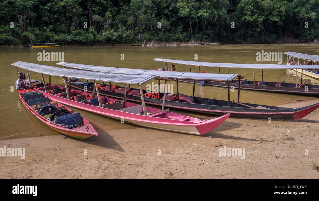 Long boats in rainforest in Taman Negara national park, Malaysia Stock ...