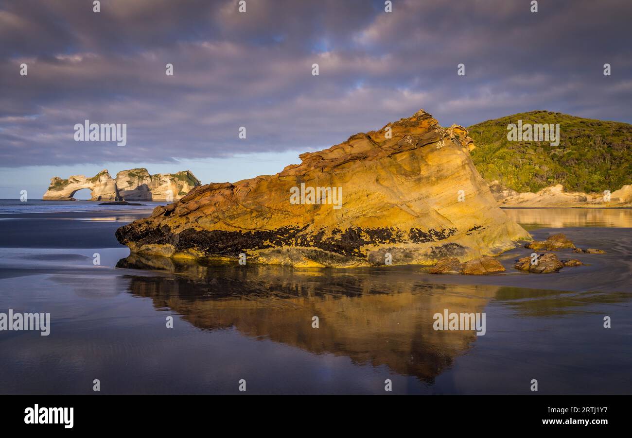 Wharariki Beach, New Zealand: Beautiful rock formations reflect in the ...