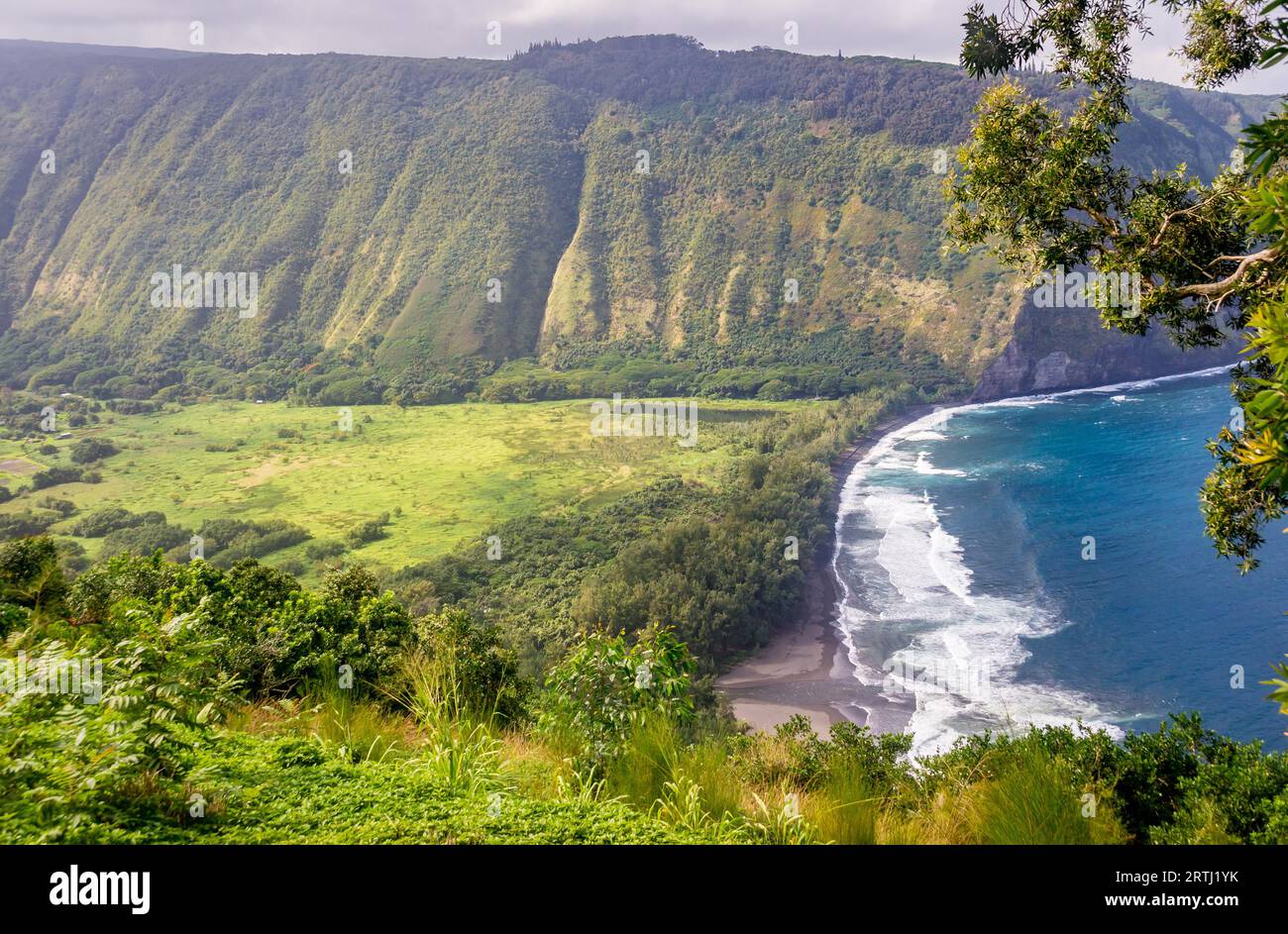 Stunning view from Waipio Valley Lookout, Big Island, Hawaii: Waipio ...