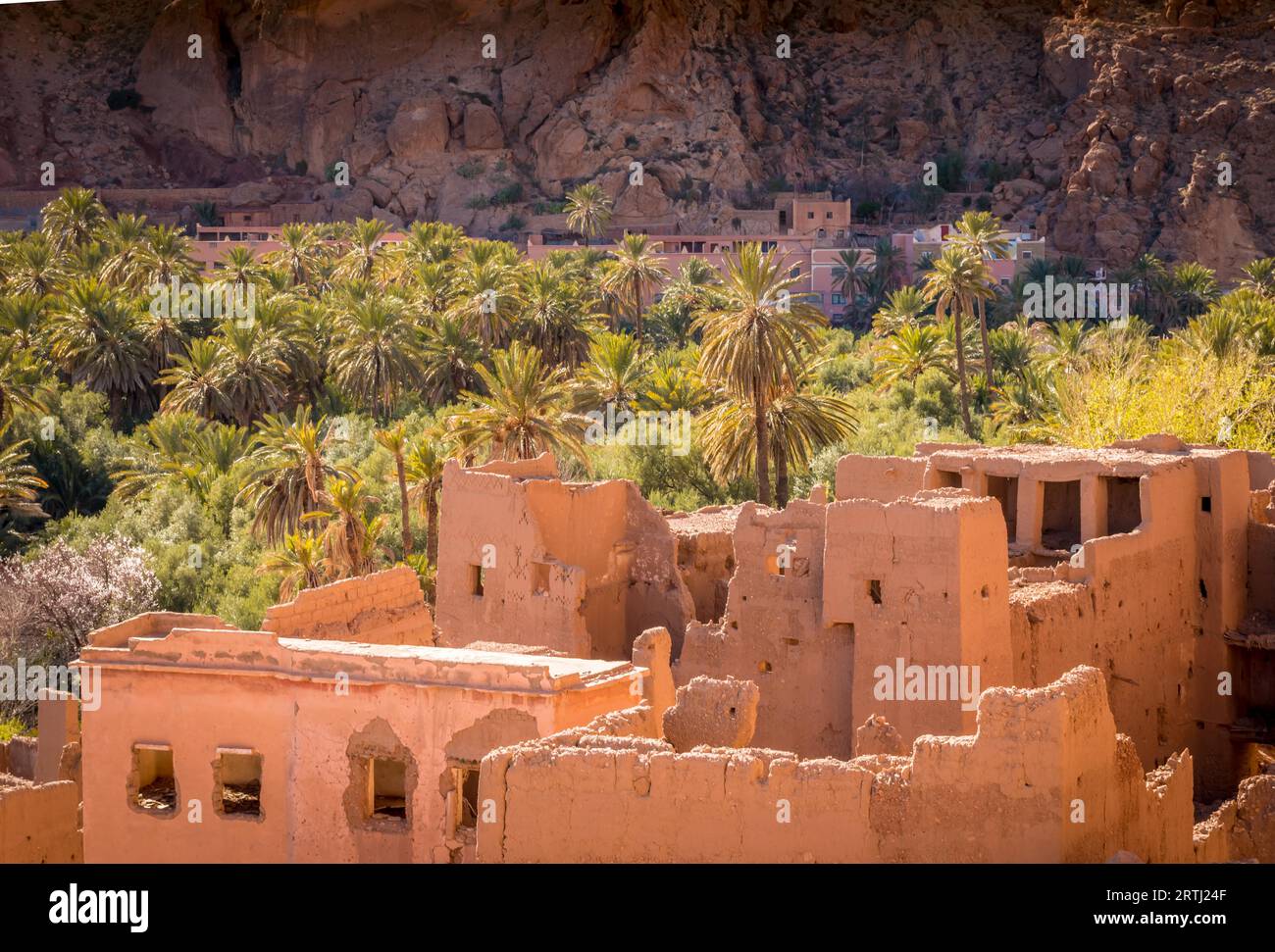 Abandoned ancient kasbah ruins amidst palm oasis in Tinghir Morocco ...