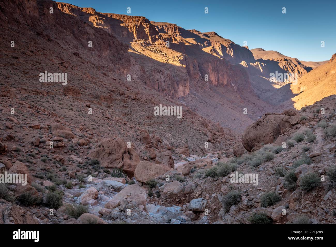 Limestone river canyons at Todra Gorge in the Atlas mountains, Morocco ...