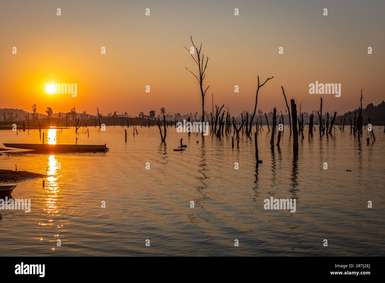 Water over submerged tree loop hi-res stock photography and images - Alamy