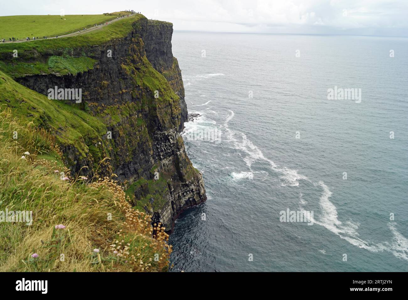 The Cliffs of Moher are the best known cliffs in Ireland. They are ...