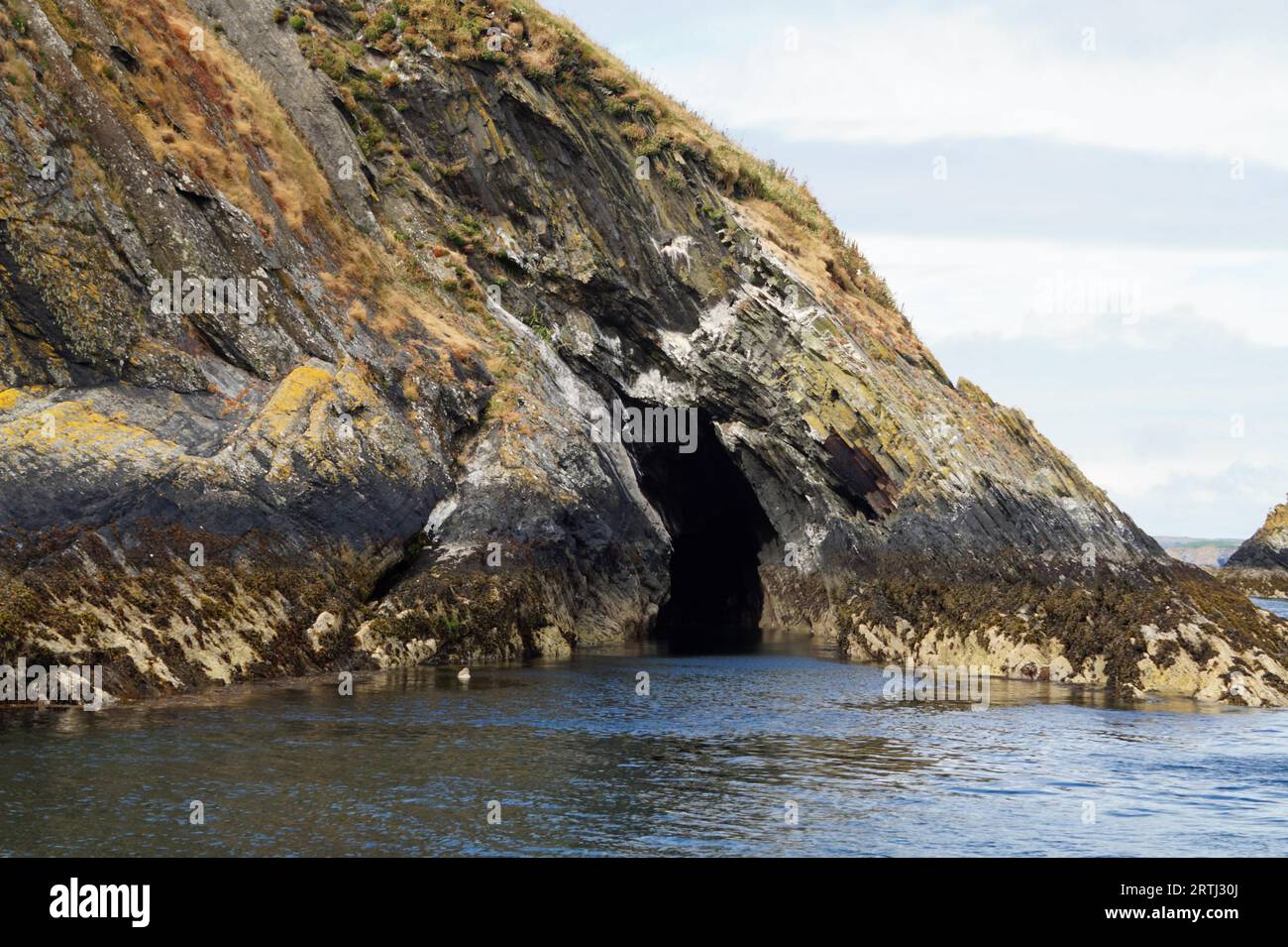 A paradise for seals.Myross Island is located in the south of Ireland ...