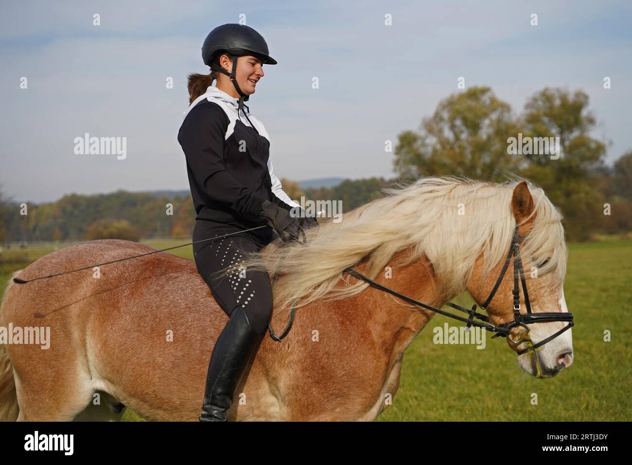 Animal photo shoot hi-res stock photography and images - Alamy