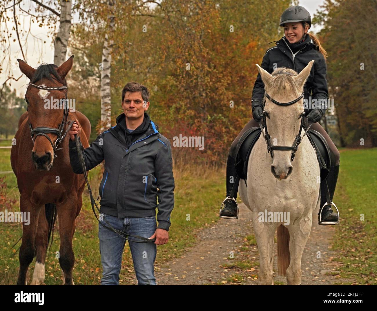 Gelding horse hi-res stock photography and images - Alamy