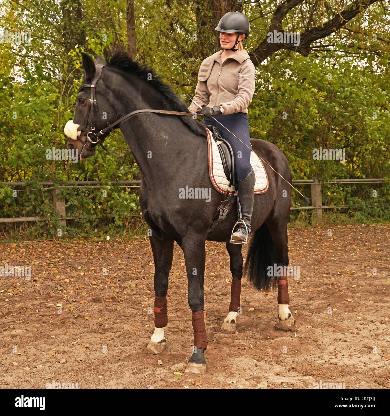 Black horse and rider training on a riding ground in Bavaria Stock ...