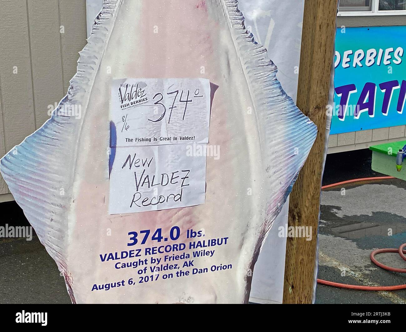 World record fish hi-res stock photography and images - Alamy