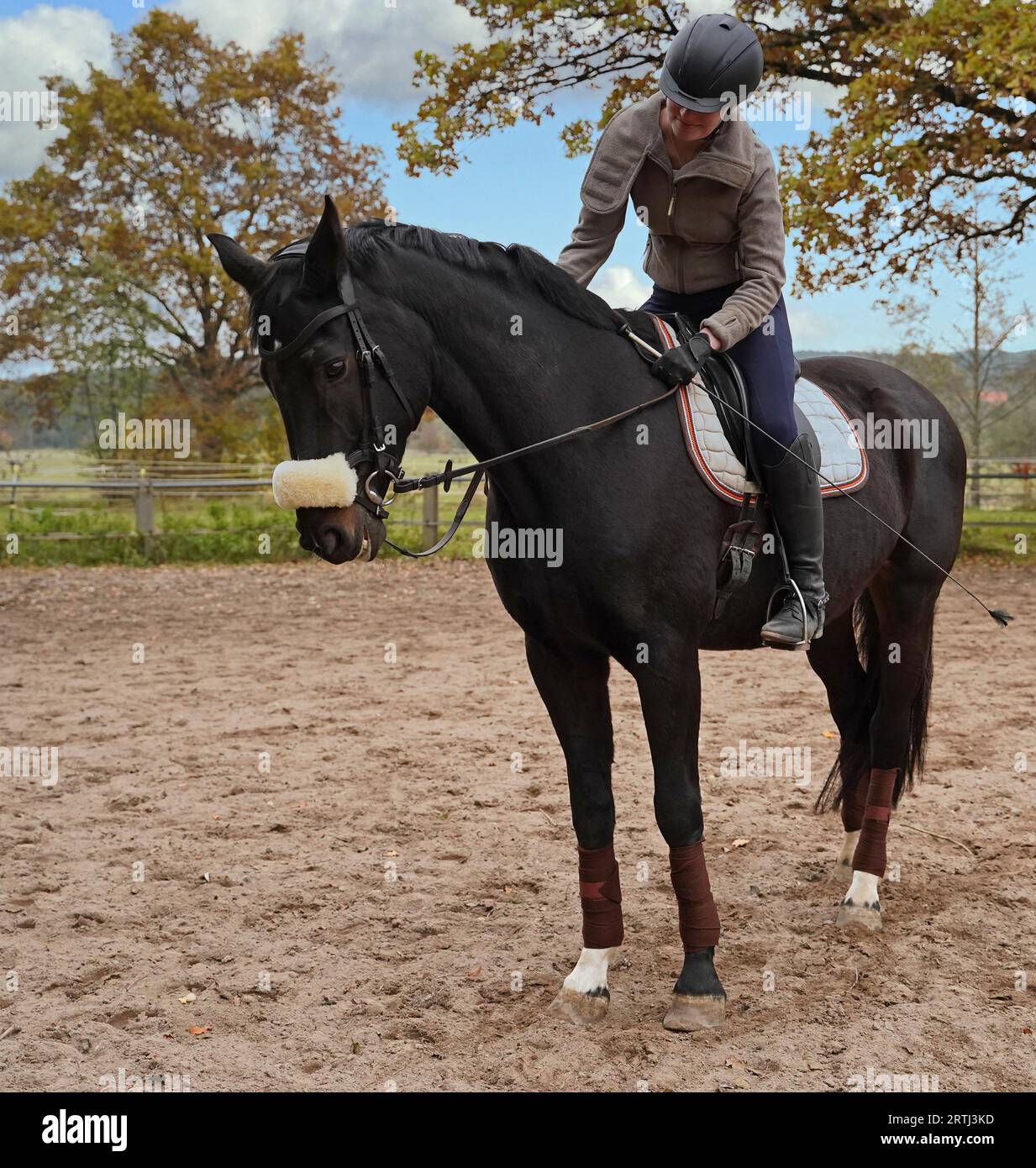 Black horse and rider training on a riding ground in Bavaria Stock ...