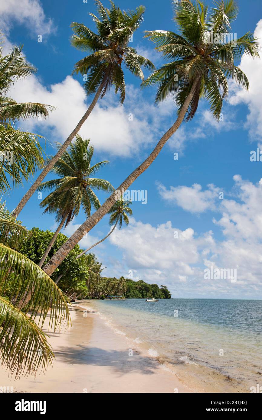 Beach on yap island yap hi-res stock photography and images - Alamy