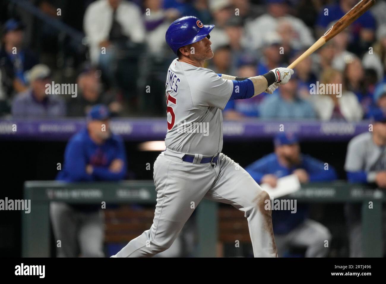 Chicago Cubs catcher Yan Gomes (15) in the fourth inning of a baseball ...