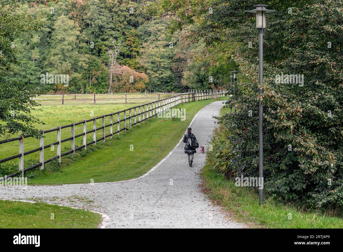 Go to park hi-res stock photography and images - Alamy