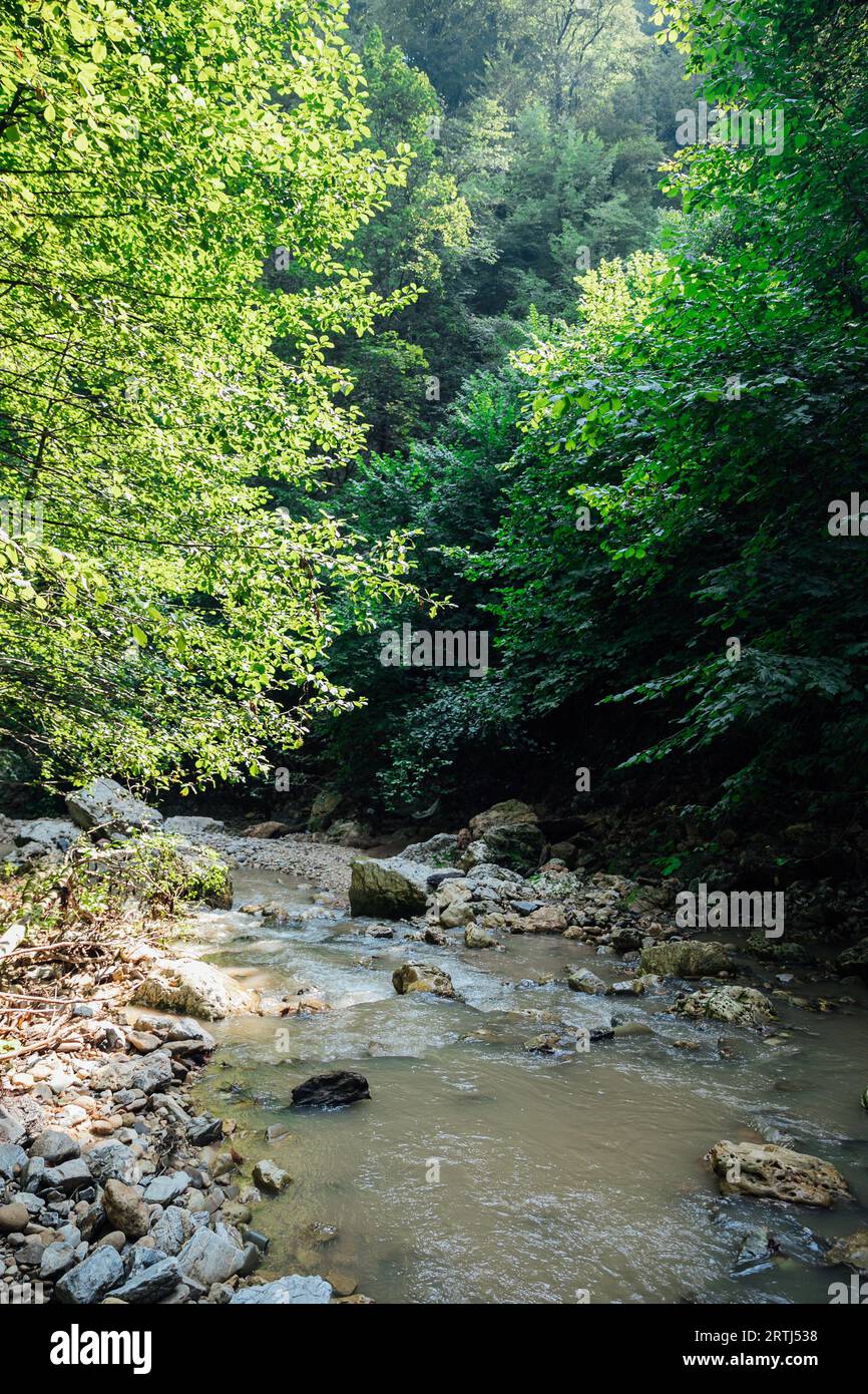 mountain stream among the rocks in the forest in nature journey hiking ...