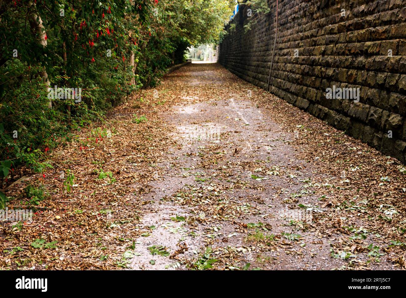 Blackburn workhouse hi-res stock photography and images - Alamy