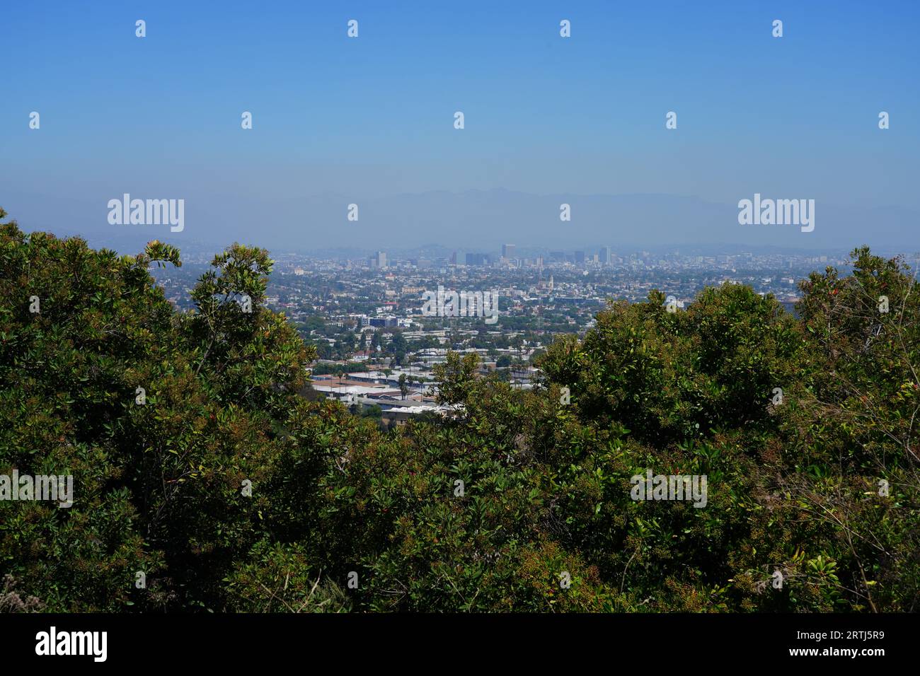 LOS ANGELES, CA -30 AUG 2023 – Landscape view of the city of Los ...