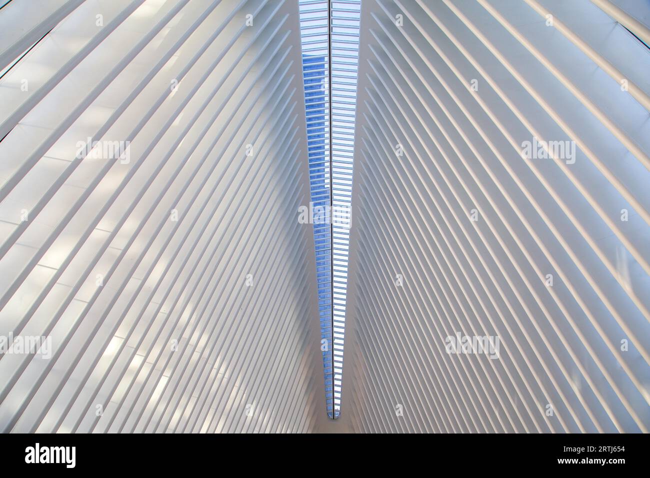 New York, United States of America, November 18, 2016: The ceiling ...