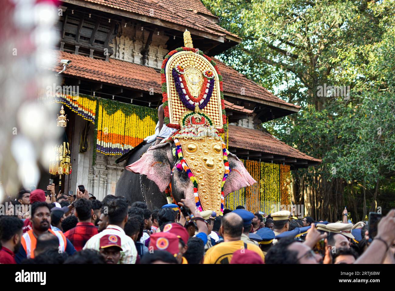 Pooram elephant hi-res stock photography and images - Alamy