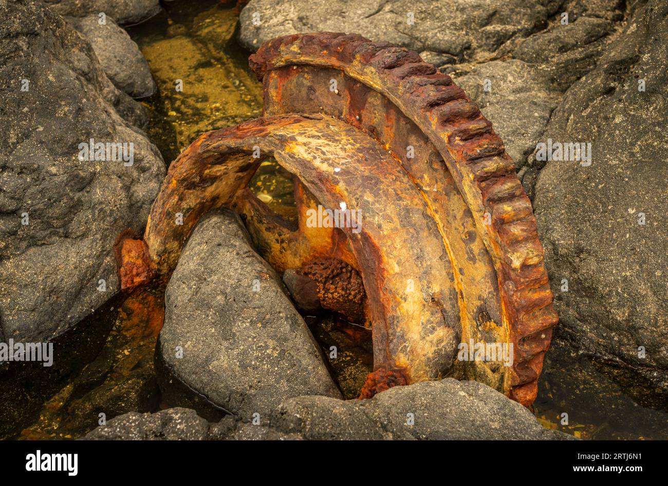 Rusting cog wheel from old sugar industry equipment dumped on coastline ...